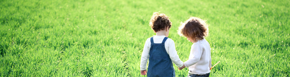 Blog - Toxic-Free Future